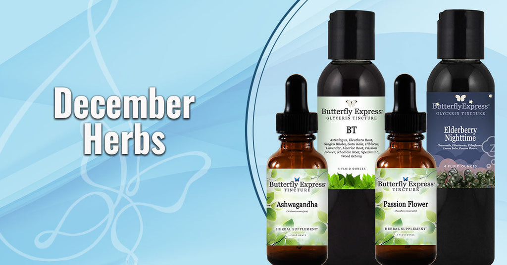 December Herbs Wholesale – Butterfly Express Quality Essential Oils