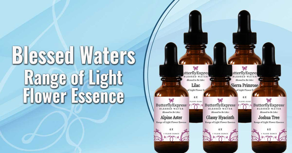 Blessed Water Range of Light Flower Essence